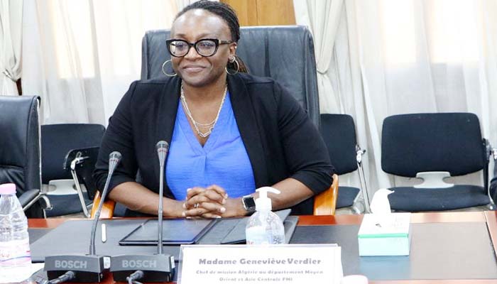 Geneviève Verdier : « La hausse des prix des hydrocarbures contribue à ...