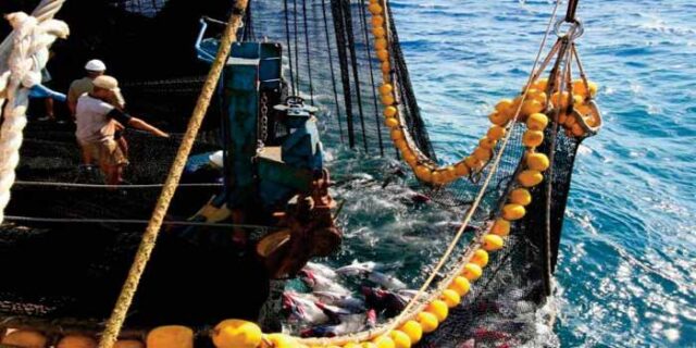 La surpêche en forte diminution en Méditerranée et en mer Noire ...